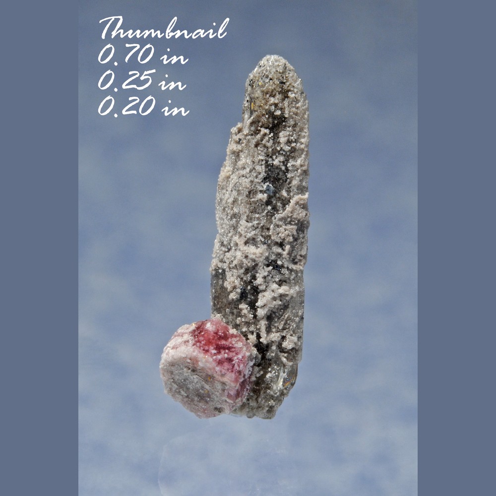 (TMMLS122) Red Beryl (also sometimes called Bixbite) & Bixbyite on ...